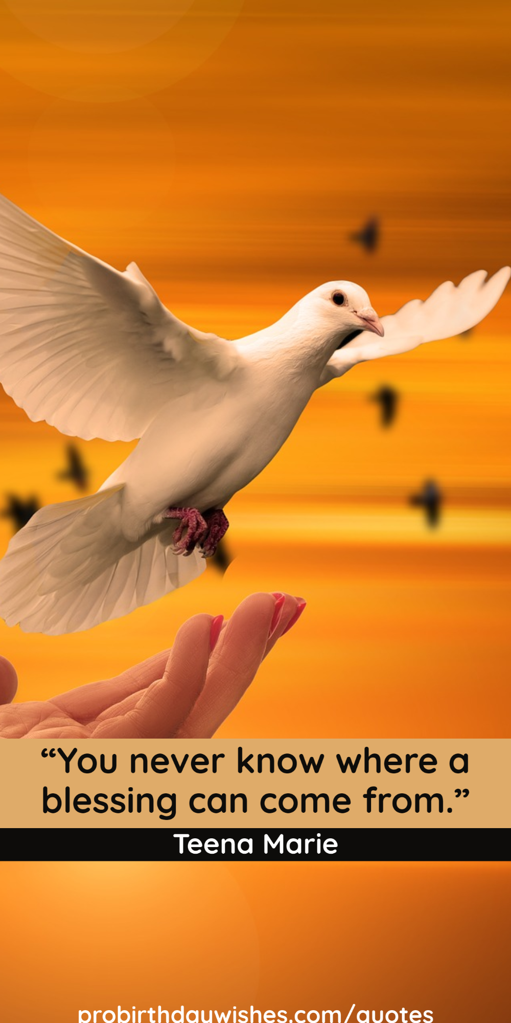95 Divine Quotes on God Bless You - Pro Quotes